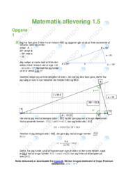 Trigonometri opgaver | Matematikaflevering